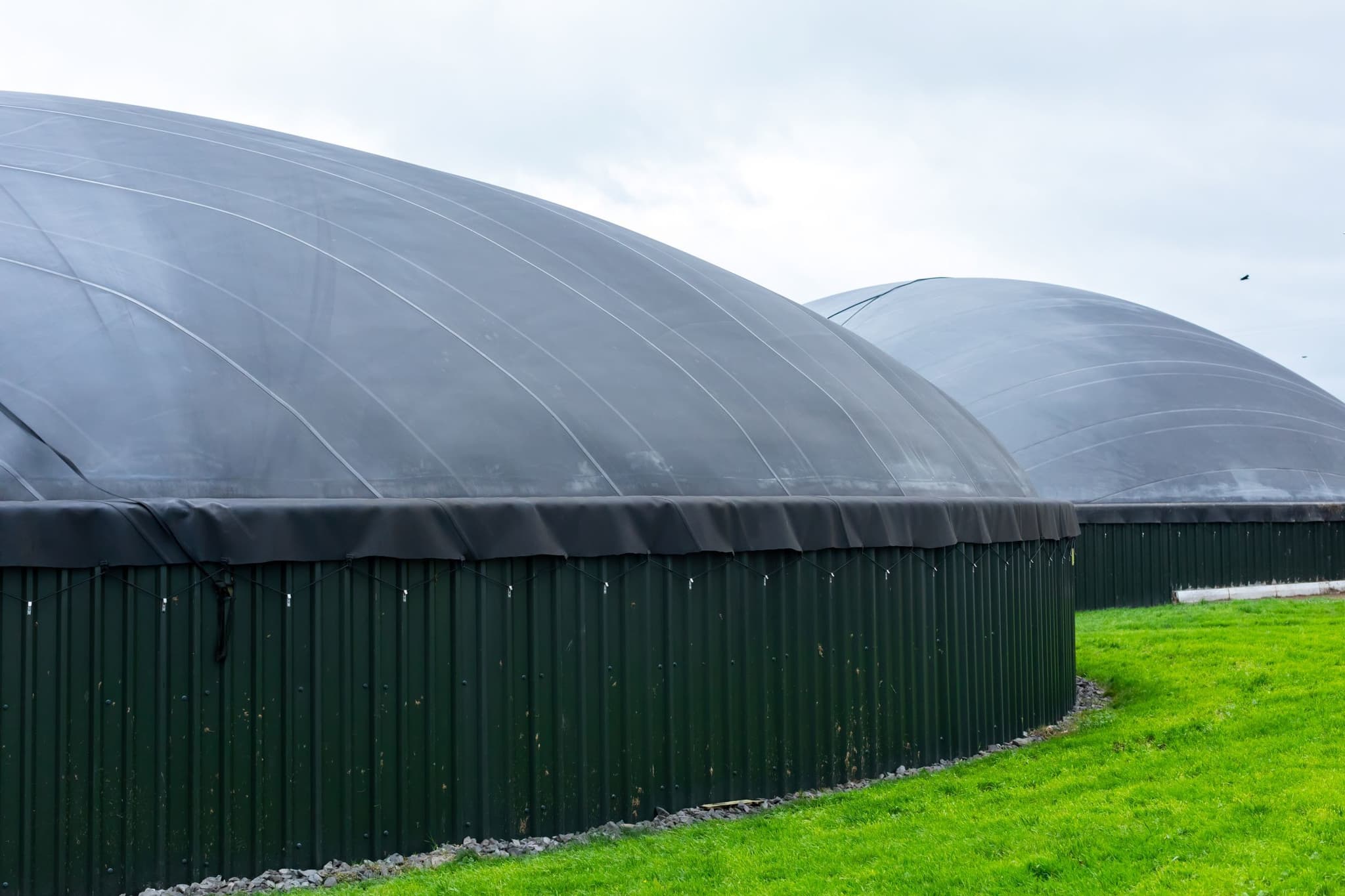 Gravis | Press and Insight from Gravis Capital Management