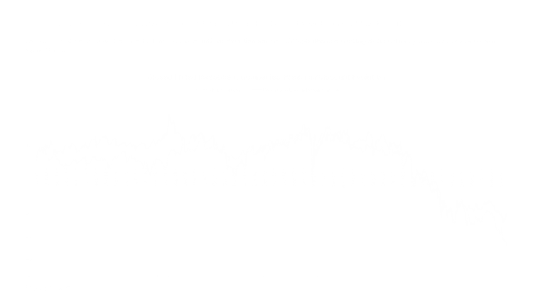 Gravis | About Gravis Capital Management