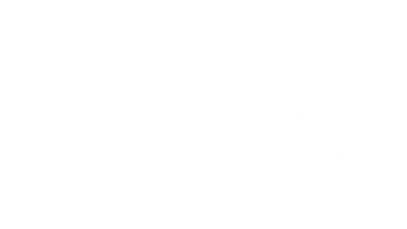 Gravis | About Gravis Capital Management